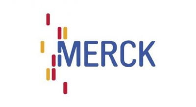 Grupo de Haseth – Grupo de Haseth